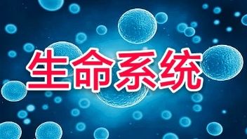 高中生物:生命系统的结构层次,家长快为小孩收藏哦