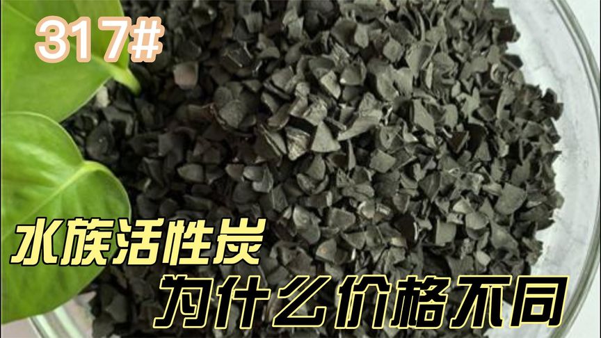 317号 水族活性炭为什么价格相差很多
