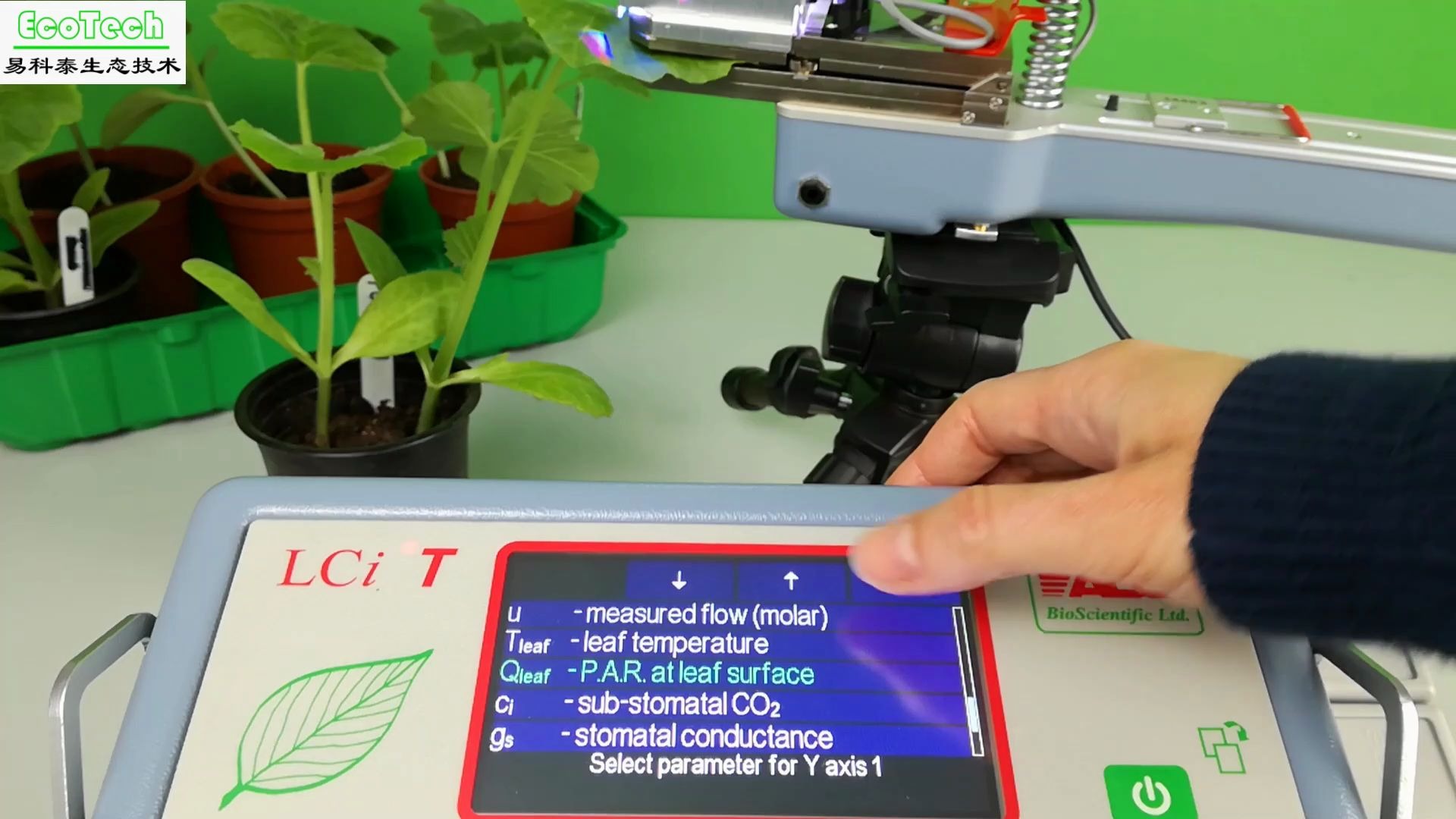 使用教程_LCi T光合仪_12_实时作图