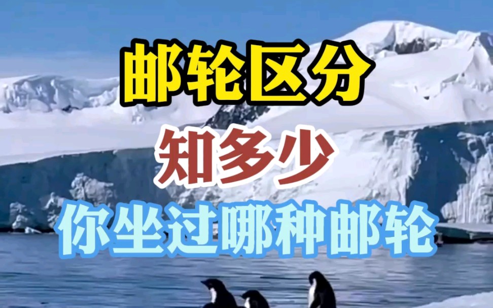 邮轮公司航线区分,你坐坐过哪种邮轮?探险邮轮、主题邮轮、轻奢邮轮...