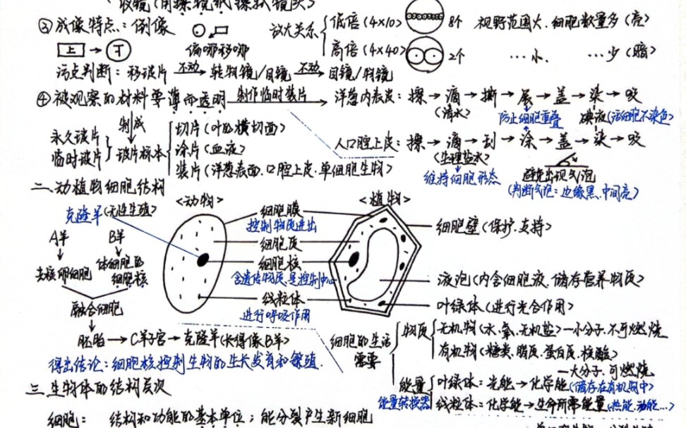 人教版初中生物会考复习之第二单元