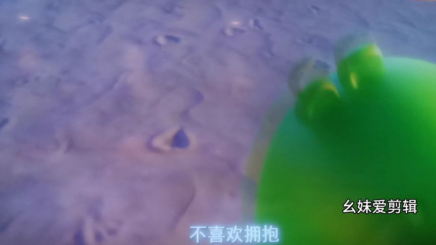 #来段动画片《愤怒的小鸟》