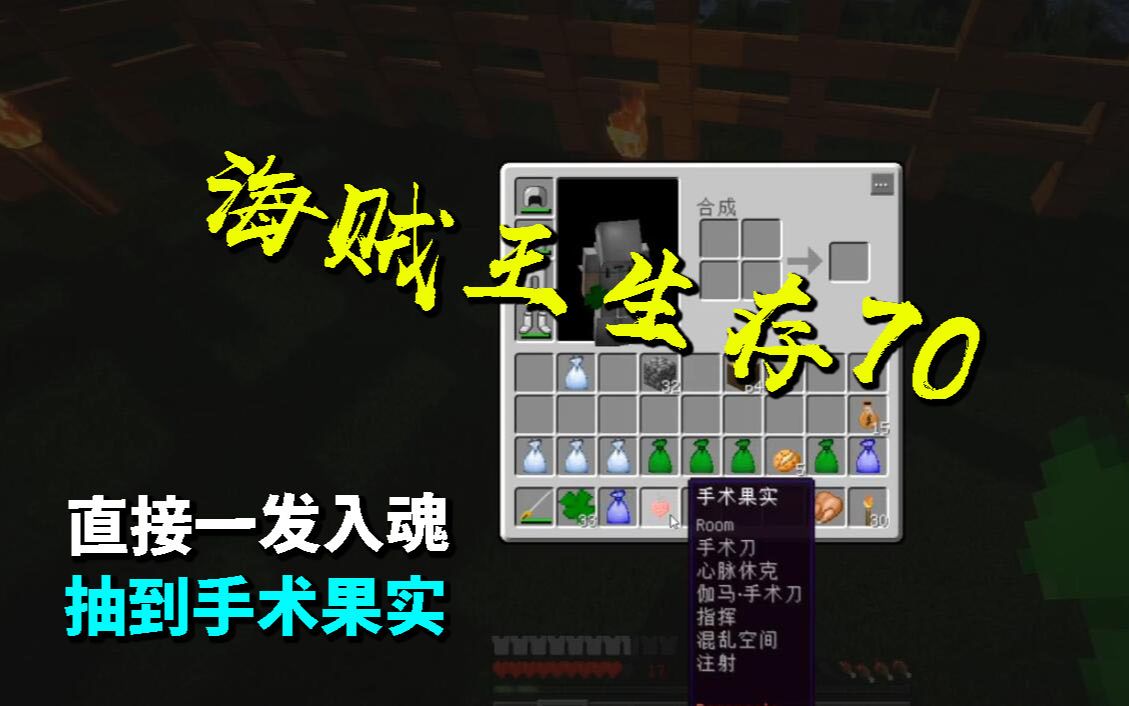 我的世界海贼王70:直接一发入魂,抽到手术果实