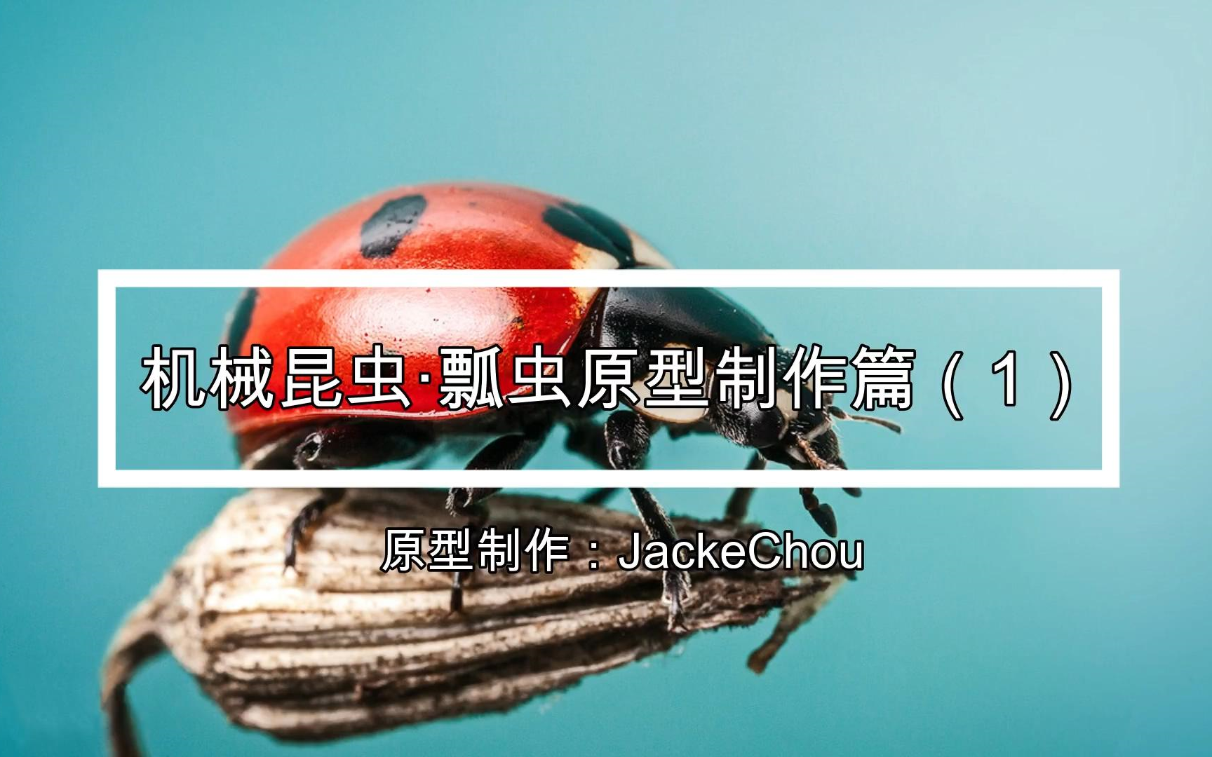 机械昆虫手办模型·瓢虫(原型制作篇)