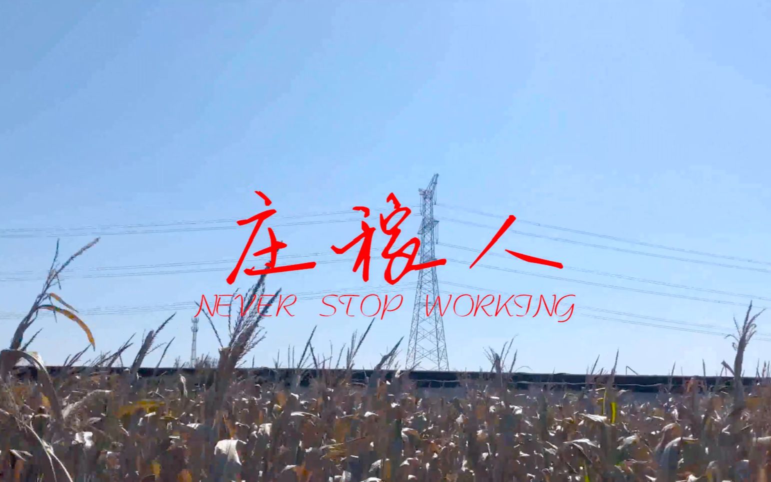 山东鲁西北地区关于乡村农时农事纪实的【四季·农耕图】《庄稼人 ...