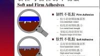 压敏胶胶带基础知识培训
