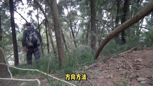 野外迷路有几种方法辨别方向?