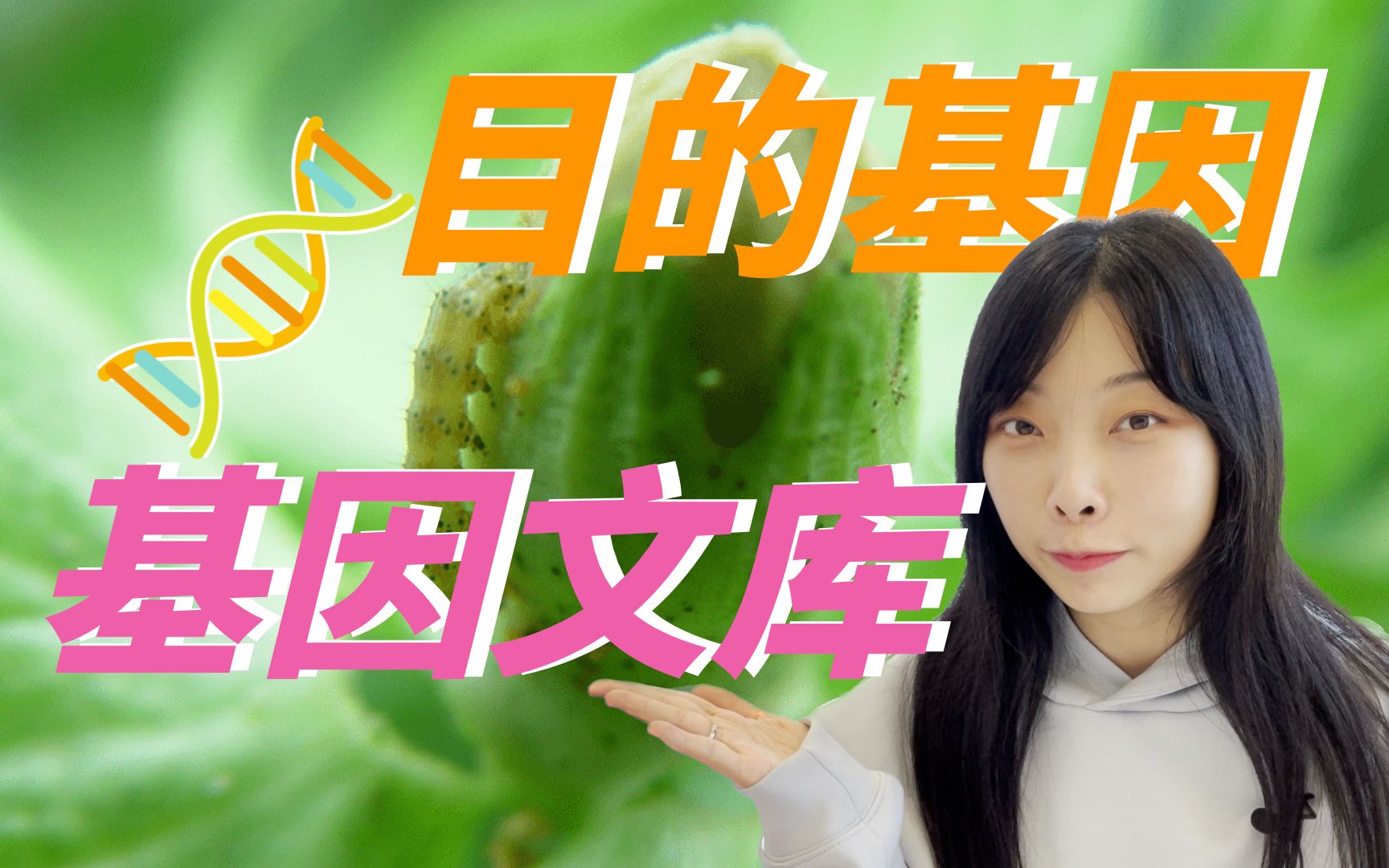 3.3【基因工程】目的基因的筛选与获取|基因组文库、cDNA文库、化学...