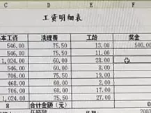 计算机基础14   电子表格的基本操作