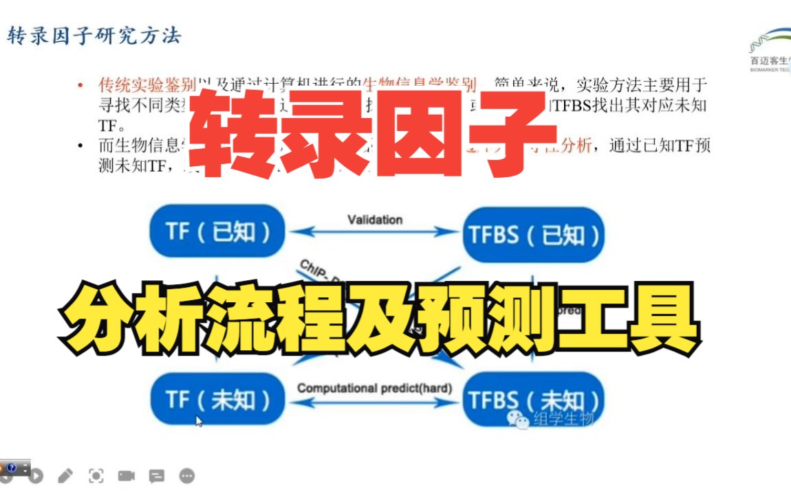 转录因子分析流程结合位点_应用案例_靶标_转录因子家族及预测网站...