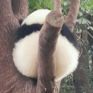 家电维修部程师傅 