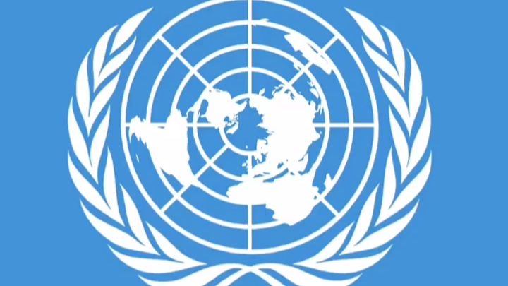 联合国各大组织介绍