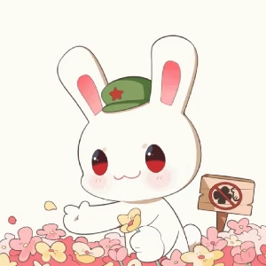 驭电人Electron-电哥切片 