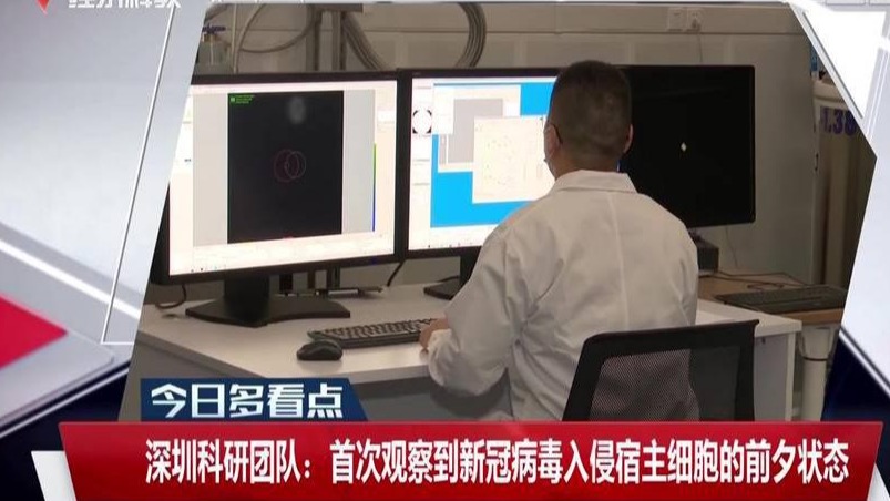 深圳科研团队:首次观察到新冠病毒入侵宿主细胞的.