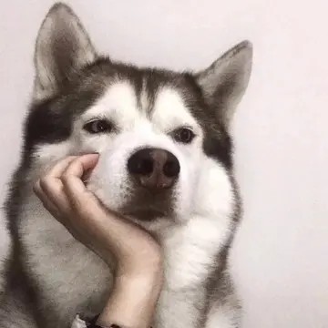 卑微的剪辑up主 