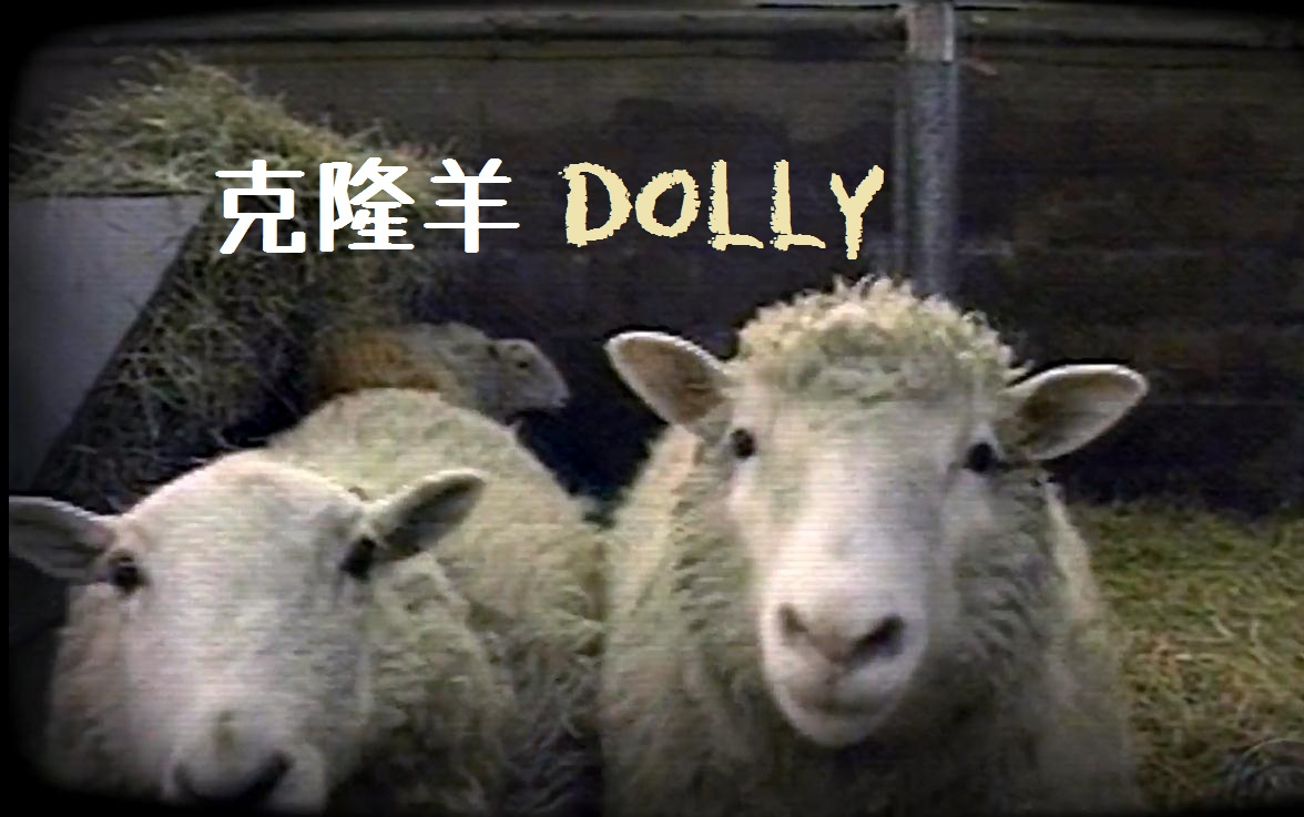 【科普】克隆羊多莉
