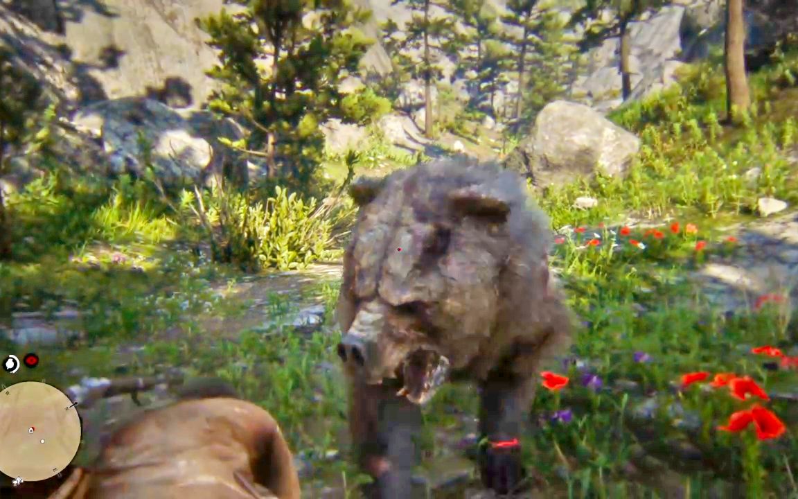 【荒野大镖客2】剧情中的传说大灰熊可以杀死吗?