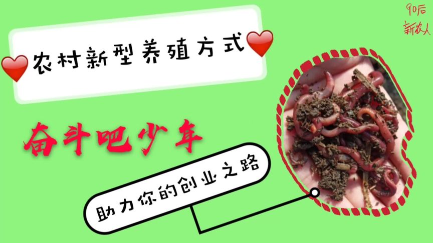 你所不知道的农村新型养殖项目,大学生返乡创业的又一种选择