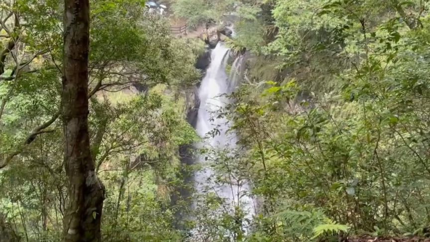 台湾三峡满月圆森林公园,森林涵养水源,有青山才有绿水
