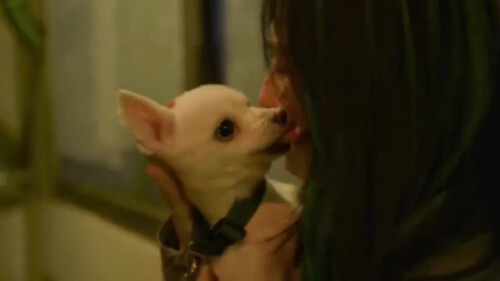 金色盛夏!5个必打卡梦幻景点,让你秒变朋友圈焦点!