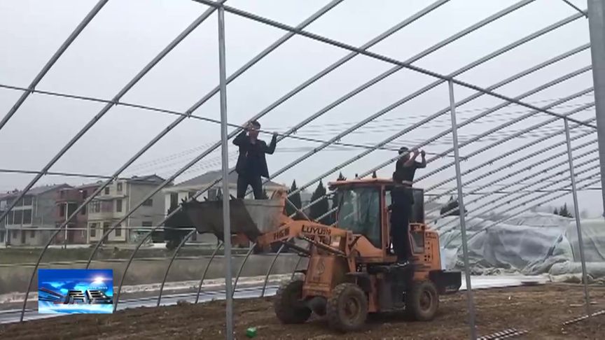 【十堰】房县化龙堰镇搭建滴水灌溉蔬菜钢架大棚