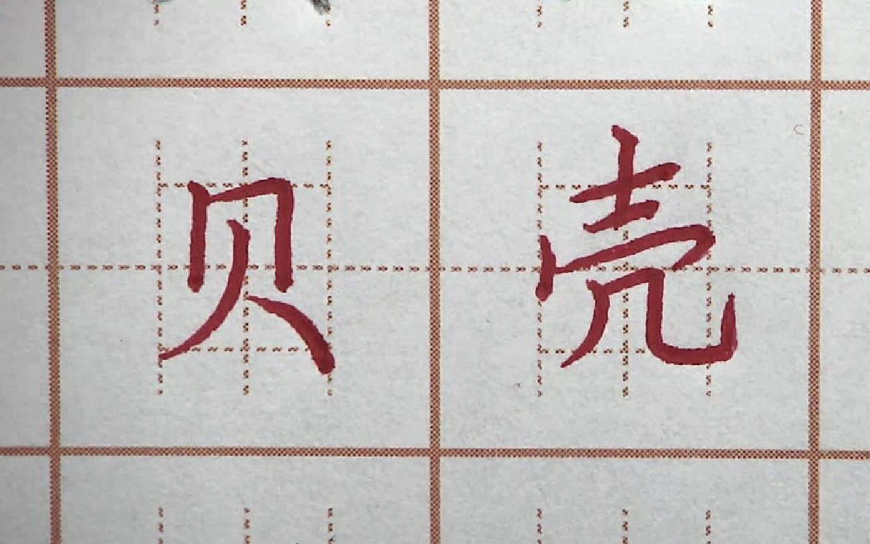 贝壳二字书写,贝字左边竖要比右边长,二年级生字硬笔书法练字