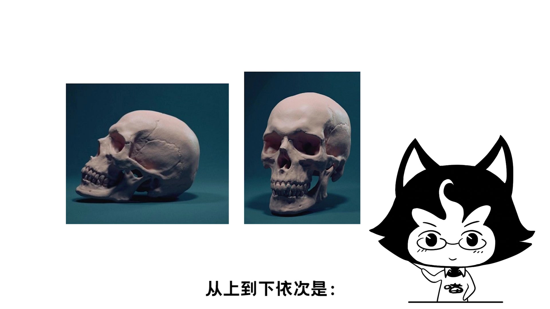 【绘画教程】超详细的良心勾线技巧,菜鸟快速通关攻略