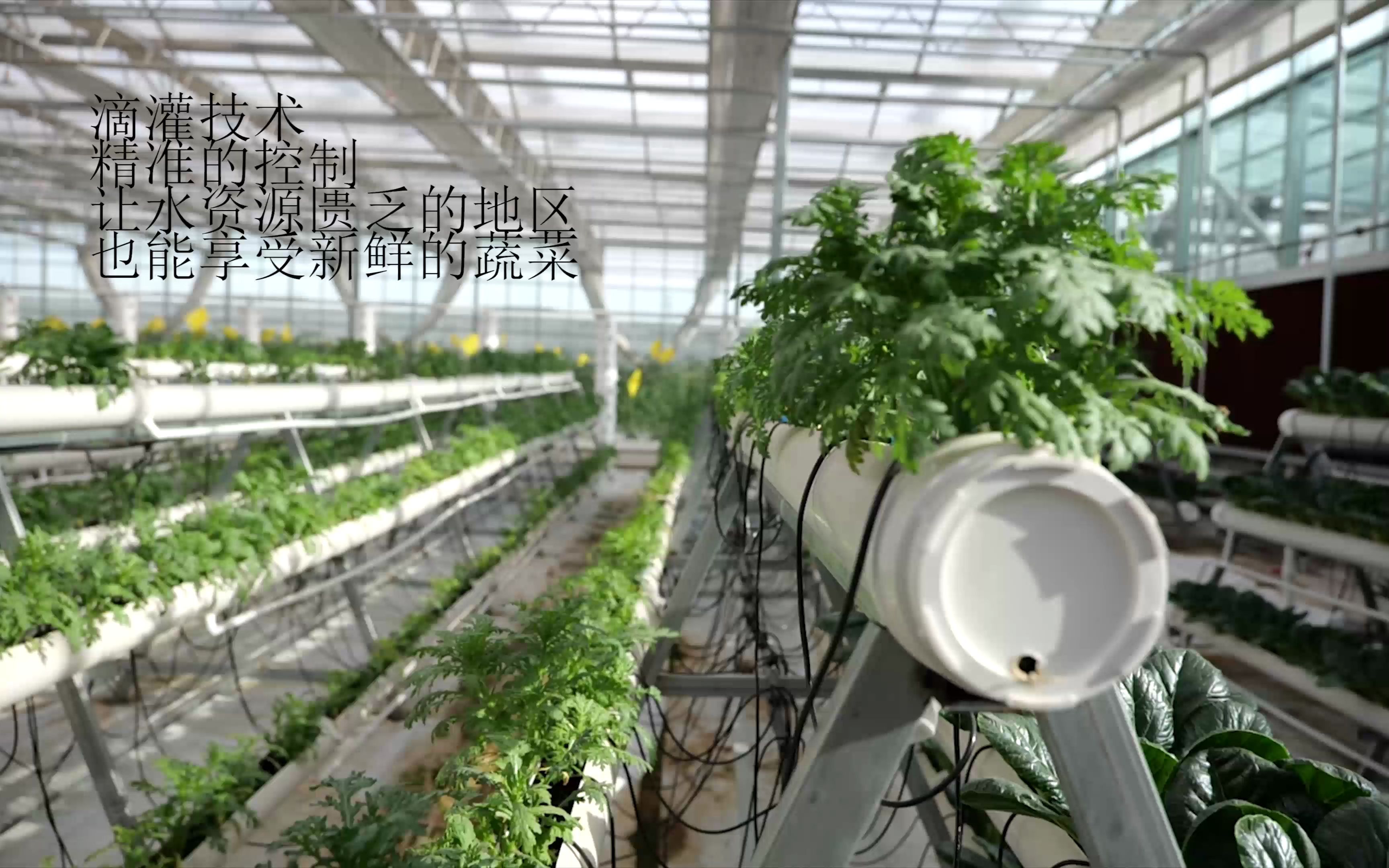 保护水资源