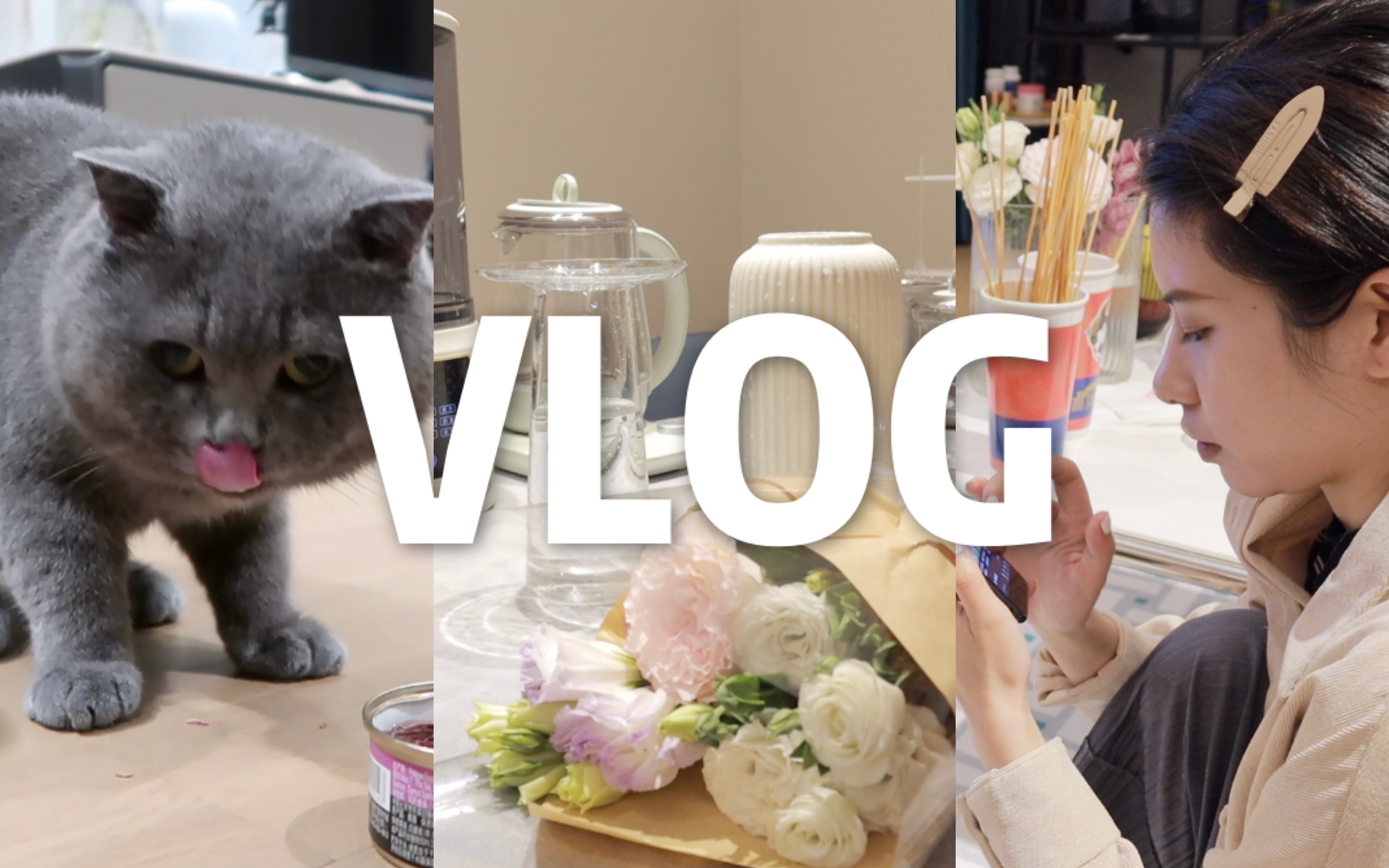 VLOG 105 独居生活|肥仔洗澡|晨间护肤|自学python 消除焦虑|养生茶 ...