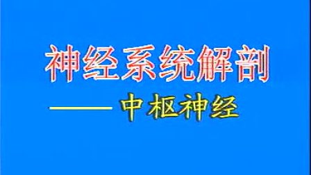 47.中枢神经系统