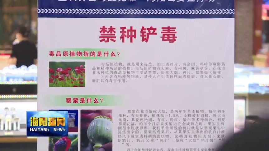 国际禁毒日:禁毒宣传零死角,让禁毒深入人心
