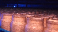 食用菌技术教学PDA培养基的制作方法