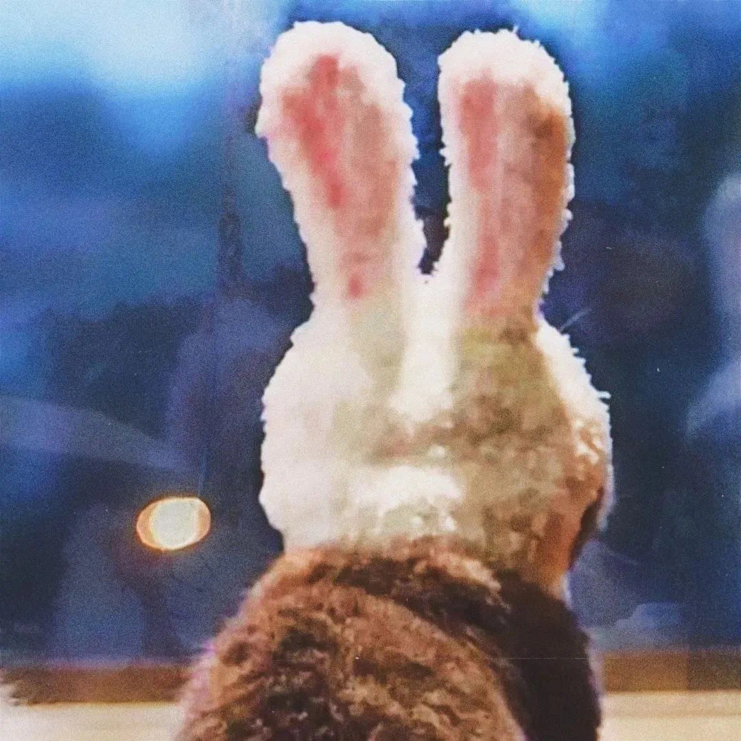 编程学习库zhikang874 