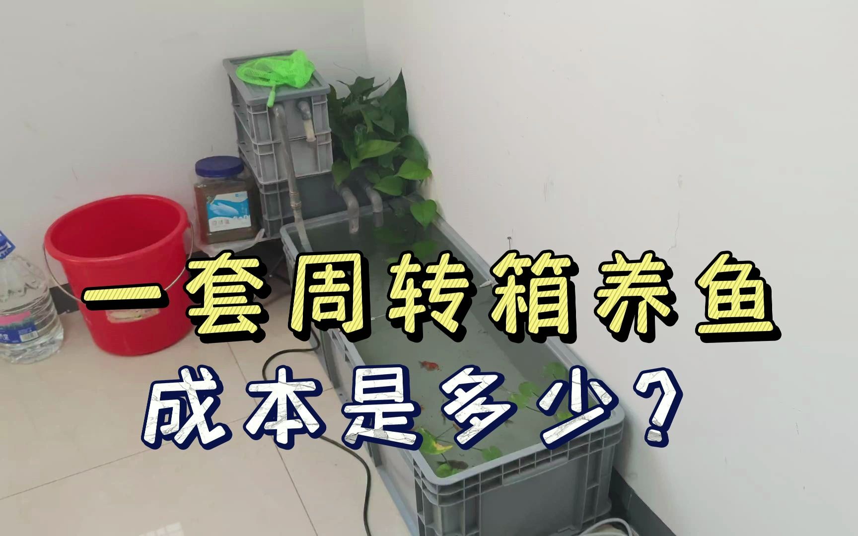 一套周转箱养鱼的设备成本是多少?