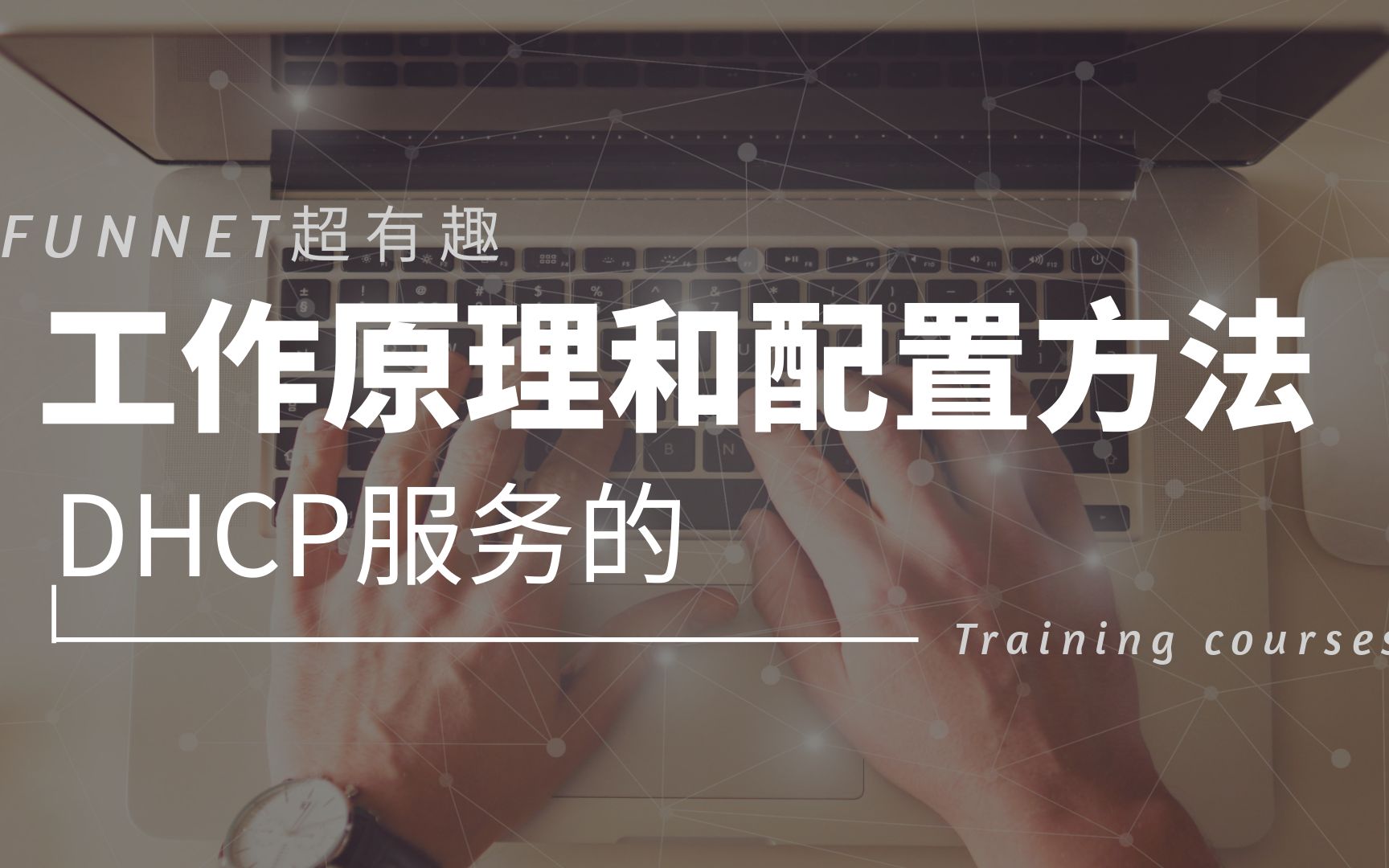 电脑怎么自动获取IP地址的?DHCP协议报文交互,Offer报文,DHCP ...