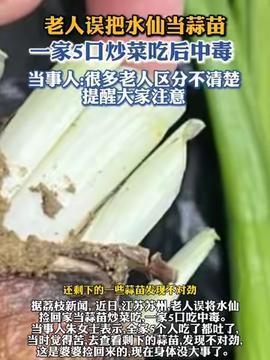 老人误把水仙当蒜苗,一家5口炒菜吃后中毒