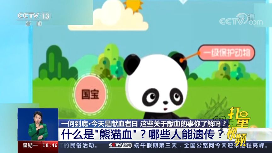 什么是“熊猫血”?哪些人能遗传这种稀有的血型?|共同关注