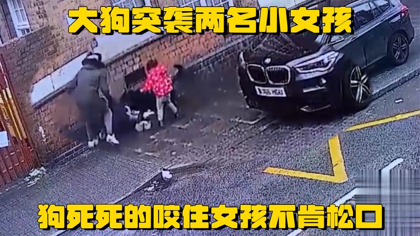 国外:恶狗扑咬小女孩,妈妈用力抵挡,太心疼孩子了!