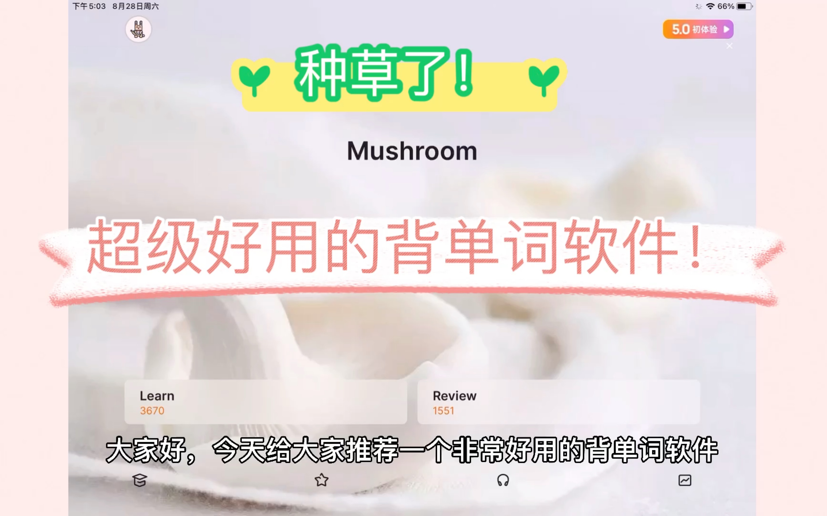 超级好用的背单词软件推荐!保姆式教学|解锁新技巧