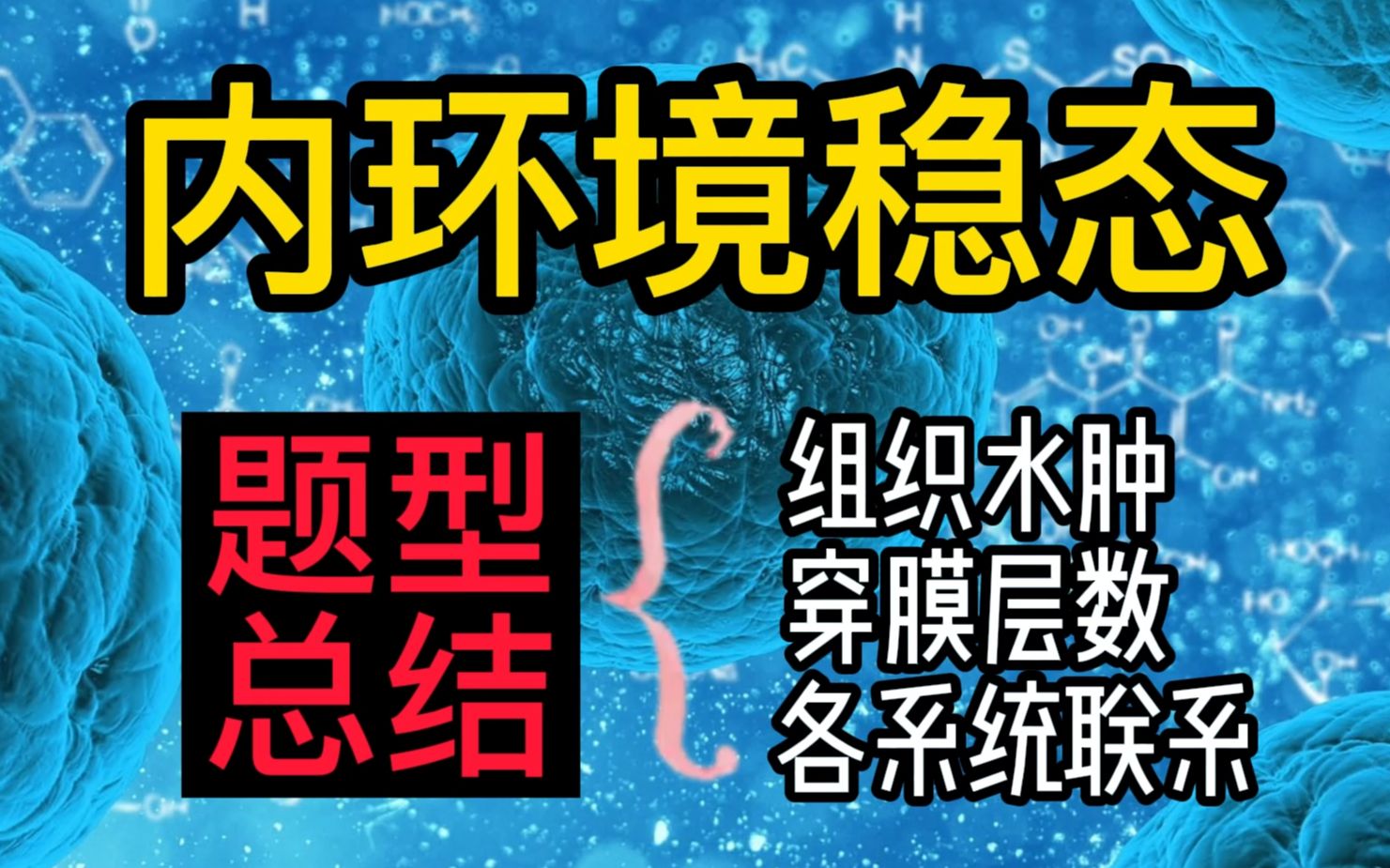 【高中生物选必1】内环境稳态题型总结!