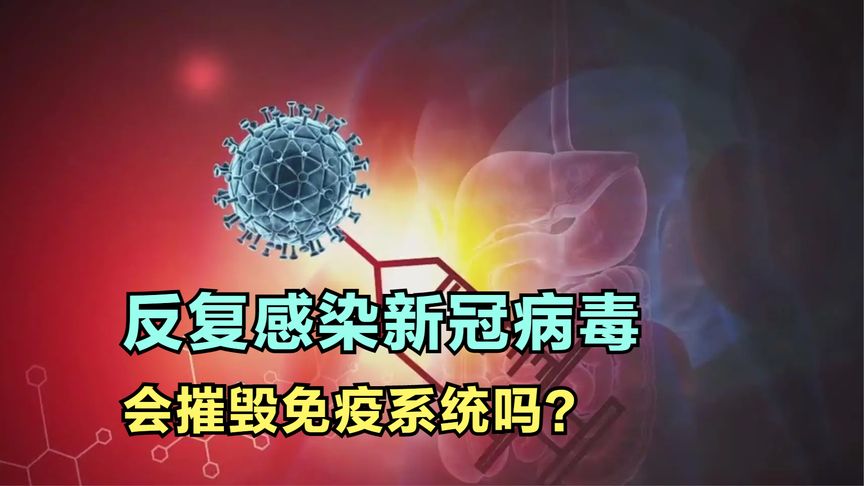 反复感染新冠病毒会摧毁免疫系统吗?