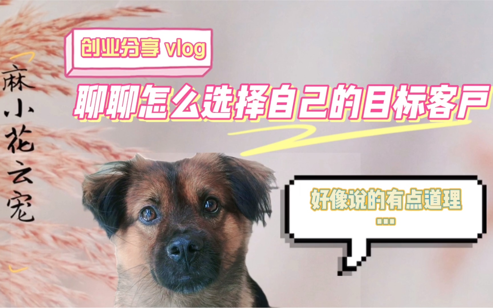 聊聊我是如何选择自己的客户群体的?