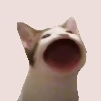 POPCAT喵 