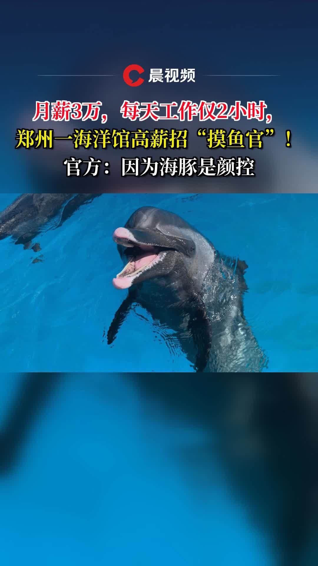 月薪3万,每天工作仅2小时,郑州一海洋馆高薪招"摸鱼官"!官方:因为海豚...