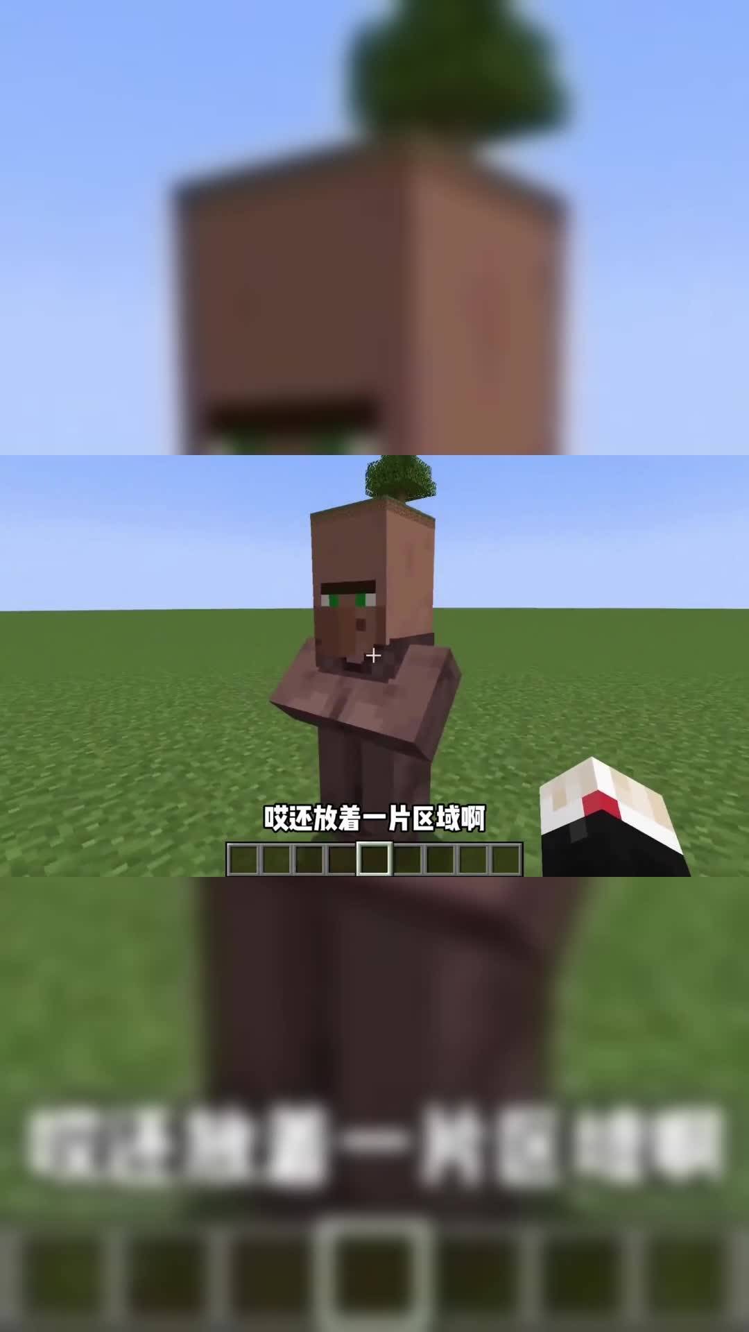 我的世界:探索MC村民的本来面目?原来村民是一个房子!