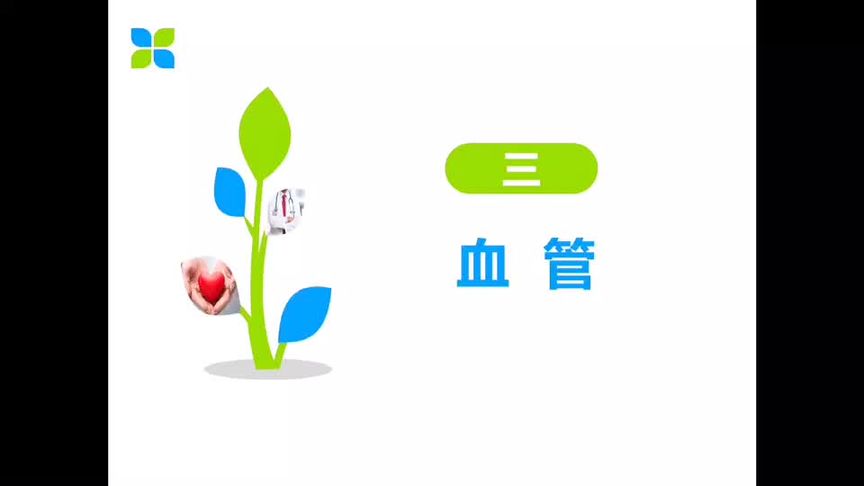 循环系统血管知识讲解;交感神经兴奋可简单记忆为交际舞效应