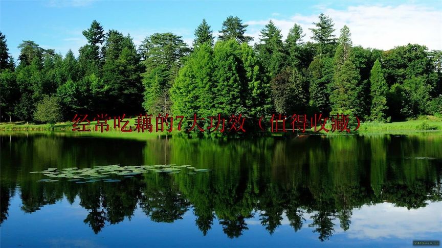 经常吃藕的7大功效(值得收藏)