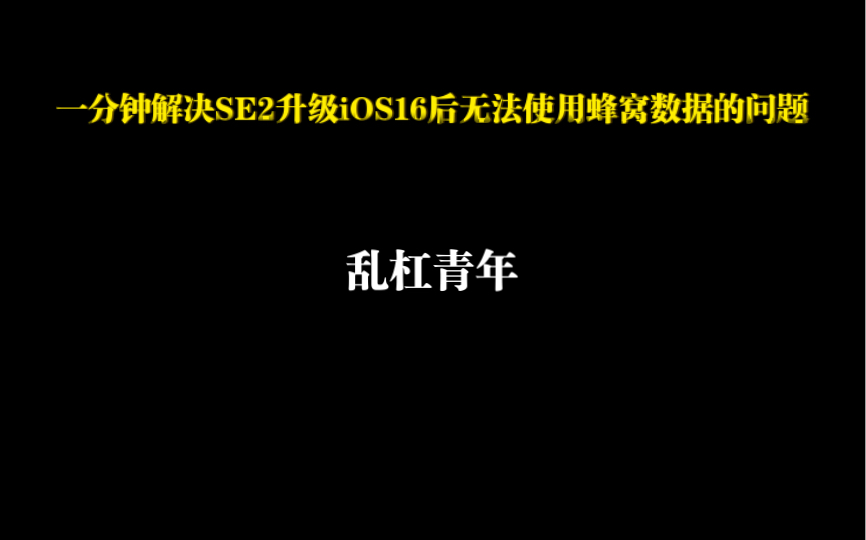 一分钟解决iPhone SE2升级iOS16无法使用蜂窝网络