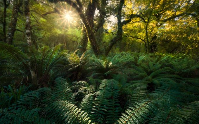 【中英】【PS】Willliam Patino Photography - 焦点堆叠大师班