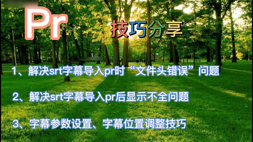 【爱剪辑】Pr软件在字幕导入、显示、位置调整出现问题的解决方法